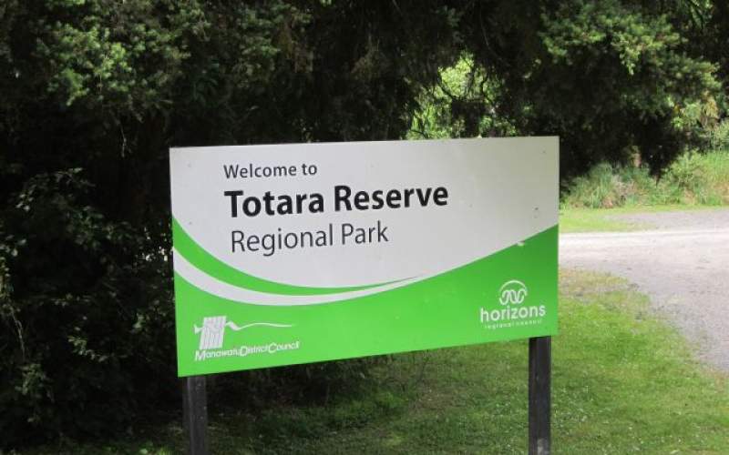 Totara Reserve Regional Park | Freedom/Basic Camp | New Zealand